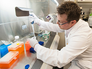 Pain Mechanisms Lab - Wake Forest School of Medicine | Wake Forest ...