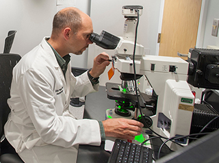 Pain Mechanisms Lab - Wake Forest School of Medicine | Wake Forest ...