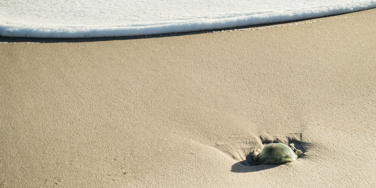 Daily Dose - 10 Ways to Avoid Ruining your Beach Vacation